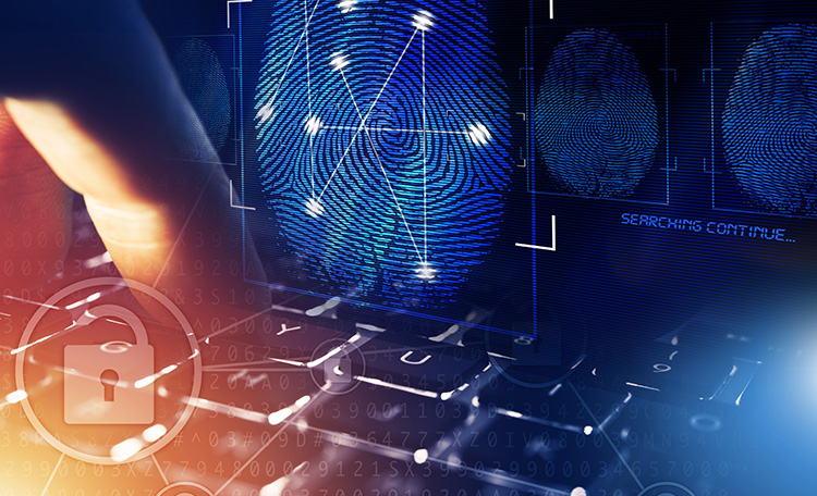 Check Point Software Technologies Sydney | Manopark